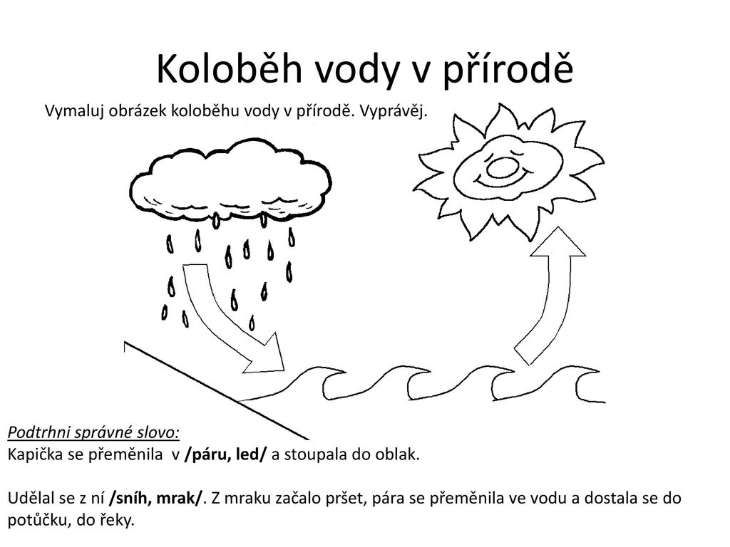 ZŠ Zdice | Plán učiva 1. - 5. 2.